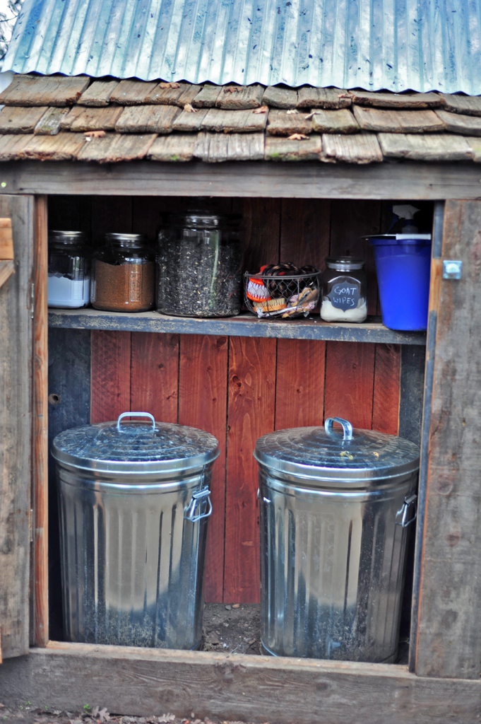 Building a Storage Barn or Shelter for Urban Backyard Goats - Domestic ...