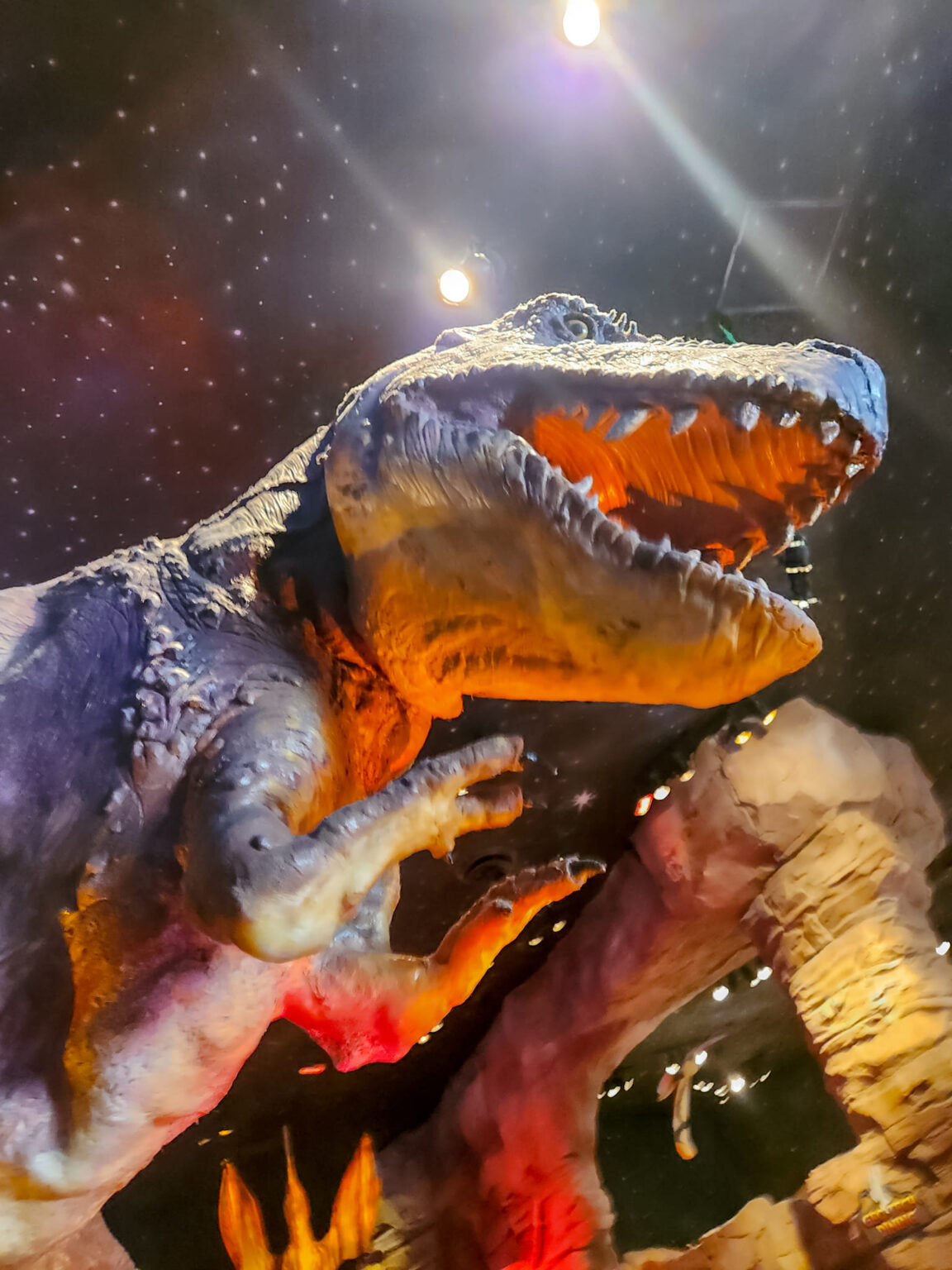 Dining with Dinosaurs: A Roaring Good Time at T-REX in Disney Springs ...